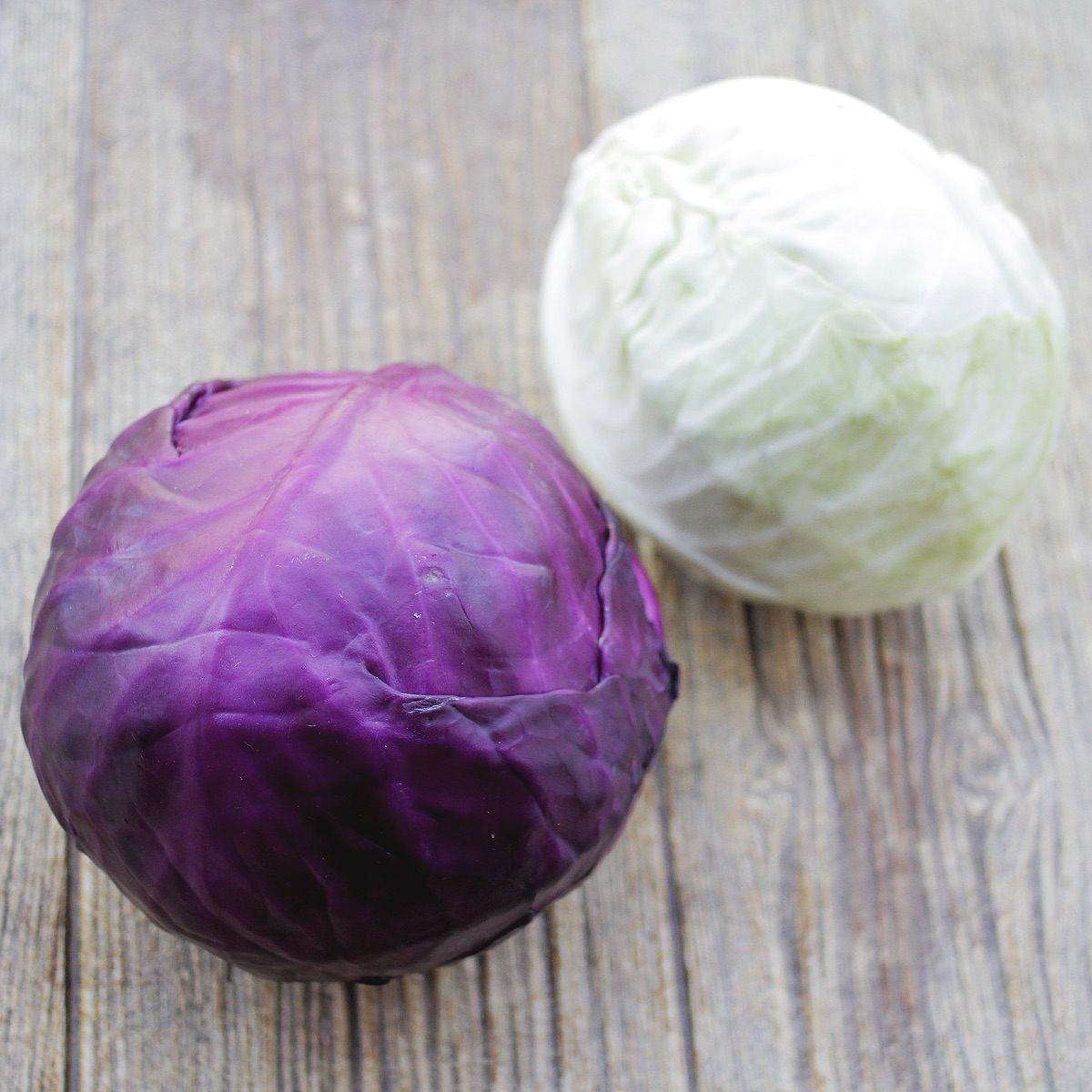 Homemade Paleo Coleslaw Recipe - Paleo Grubs